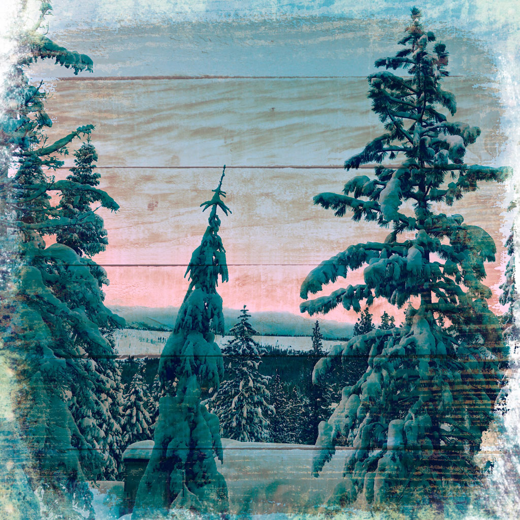 Hipstamatic Gear - Maple 1880 Film