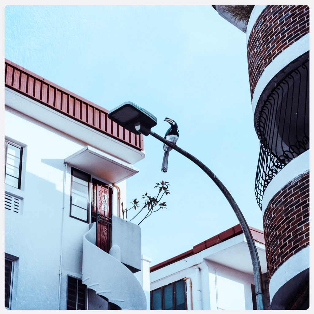 Hipstamatic Gear - RetroPak 2023